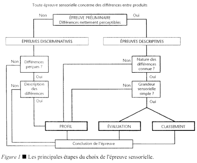 Évaluation sensorielle des produits alimentaires [SHR en BTS MHR]