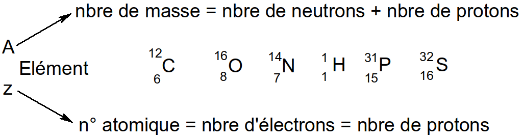 Figure7 : l'élément atomique