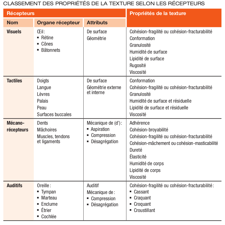 La texture [Quels sont les facteurs qui influent la prise alimentaire ?]